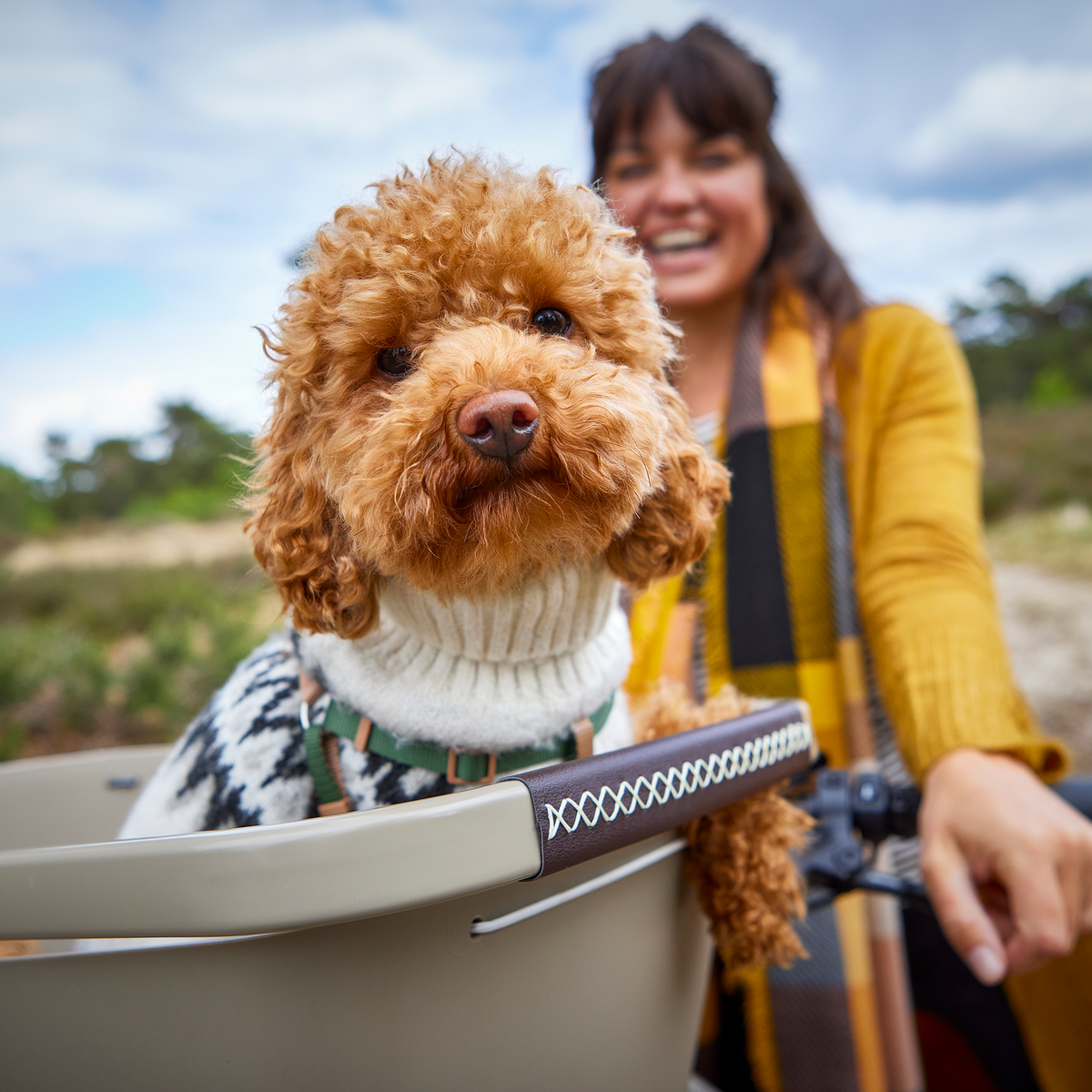 Basil – Cycle Plus NZ LTD