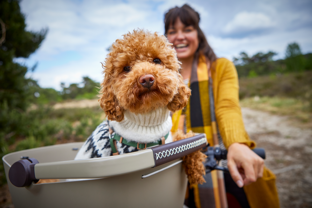 Cycle Plus - Products for all your cycling needs at great prices – Cycle Plus NZ LTD